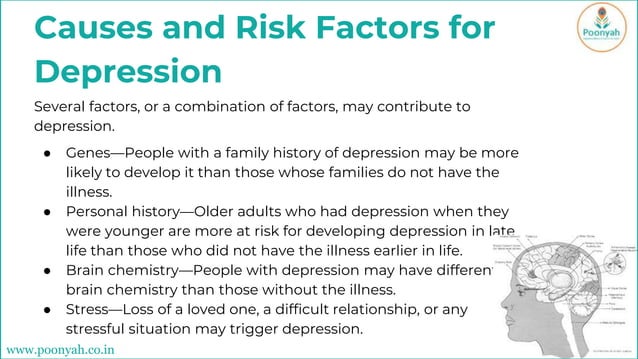 Depression In Elderly | PPTX
