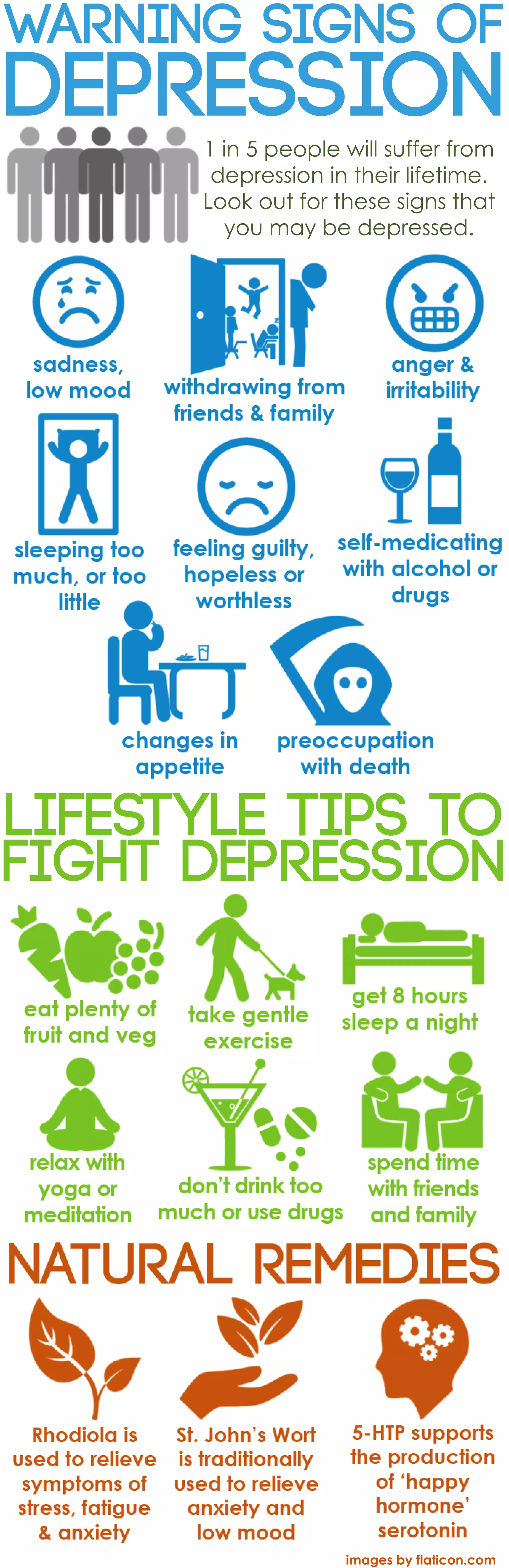 Warning Signs of Depression | PDF