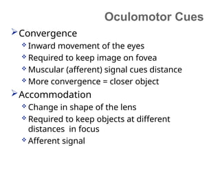 Depth-perception-visual-on-human-eye.pptx