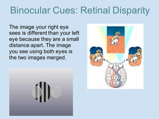 Depth cues | PDF