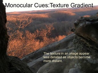 Monocular Cues Texture Gradient