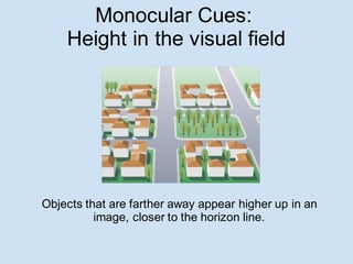 Monocular Cues Relative Height Skyline