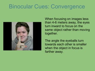 Binocular Cues For Depth Perception