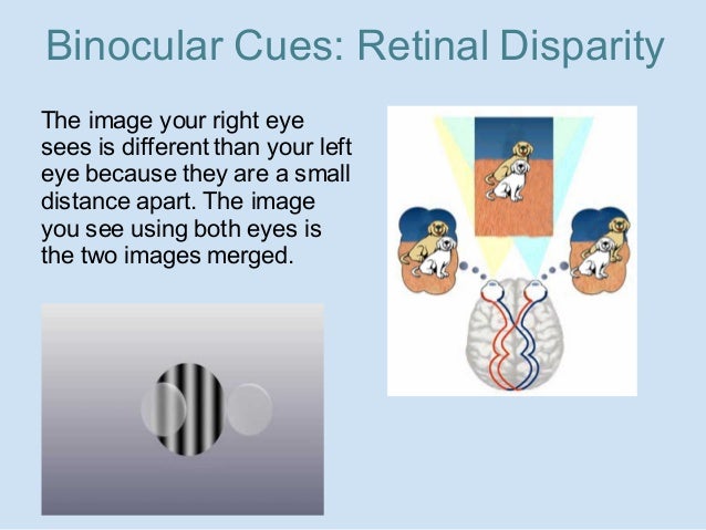 What Is A Binocular Cue For The Perception Of Distance Binocular What Is A Binocular Cue For The Perception Of Distance Binocular