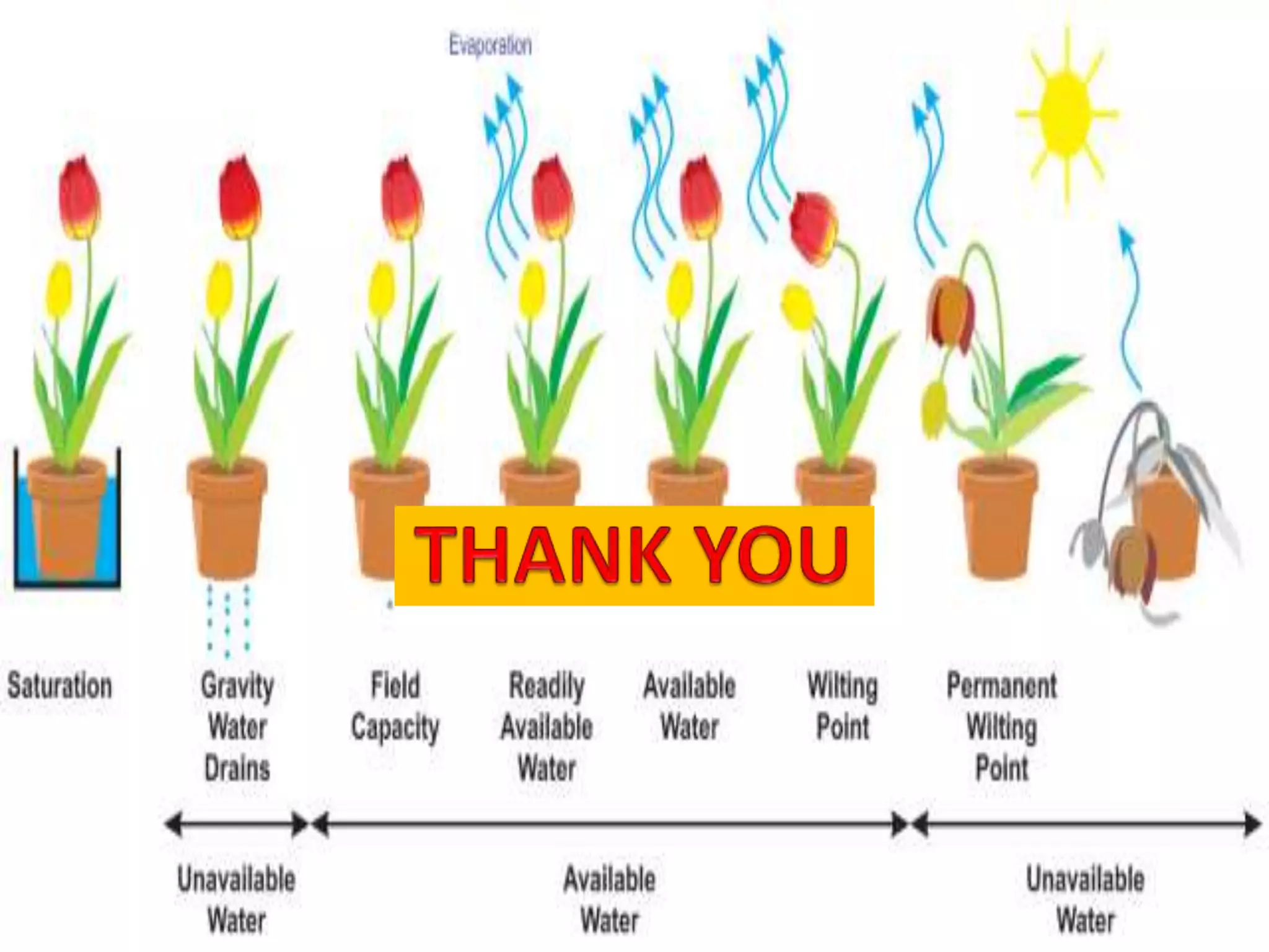 Depth&frequency of irrigation,consumptive use(irrigation management) | PPTX