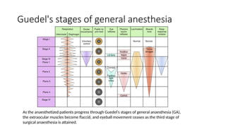 Depth of Anesthesia and effects on ou.pptx | Eye and Vision Conditions | Diseases and Conditions