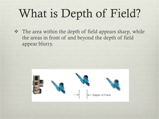 Depth of field | PPT | Photography | Arts and Crafts