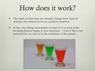 Depth of field | PPT | Photography | Arts and Crafts