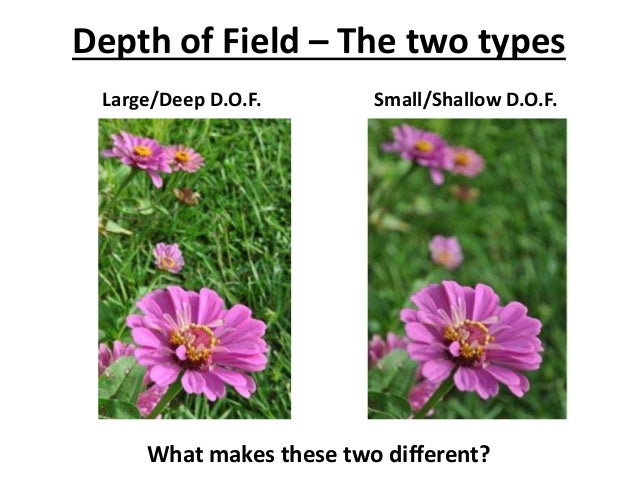 Depth of field and texture