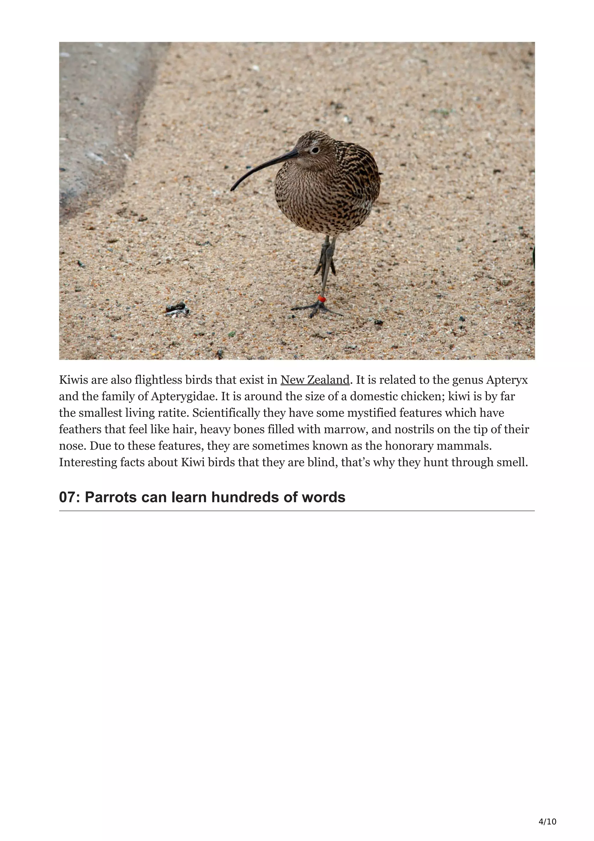 Top 10 interesting facts about birds | PDF