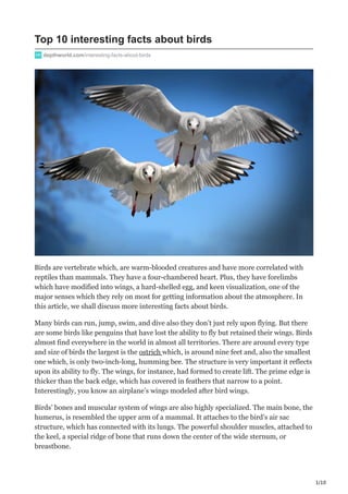 Interesting Facts About Birds