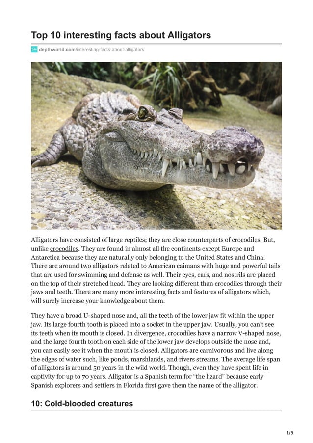 Top 10 interesting facts about alligators | PDF