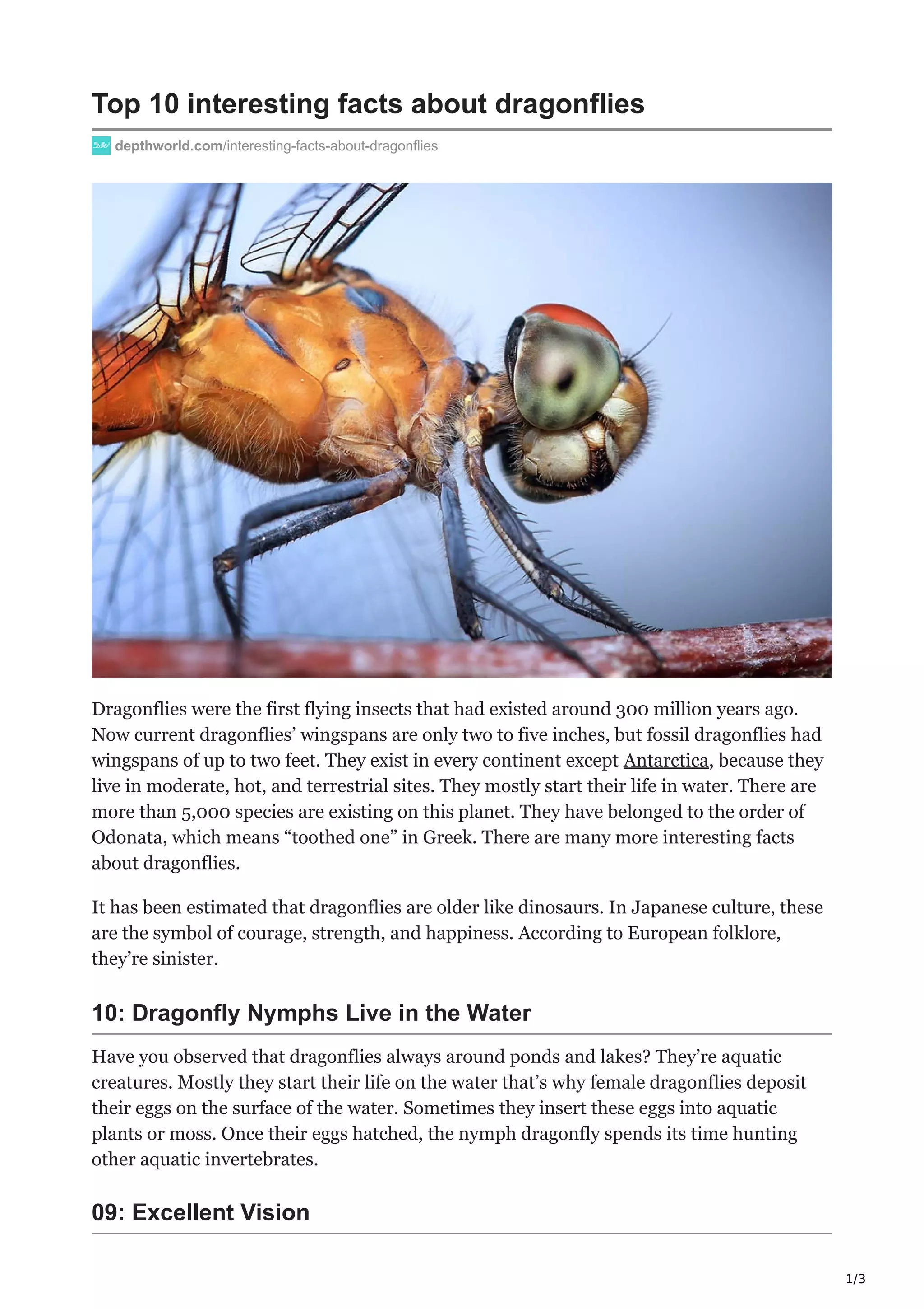 Top 10 interesting facts about dragonflies - Depthworld | PDF