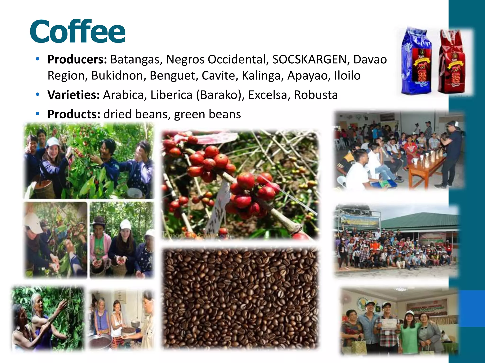 The State of Philippine Agriculture | PPTX