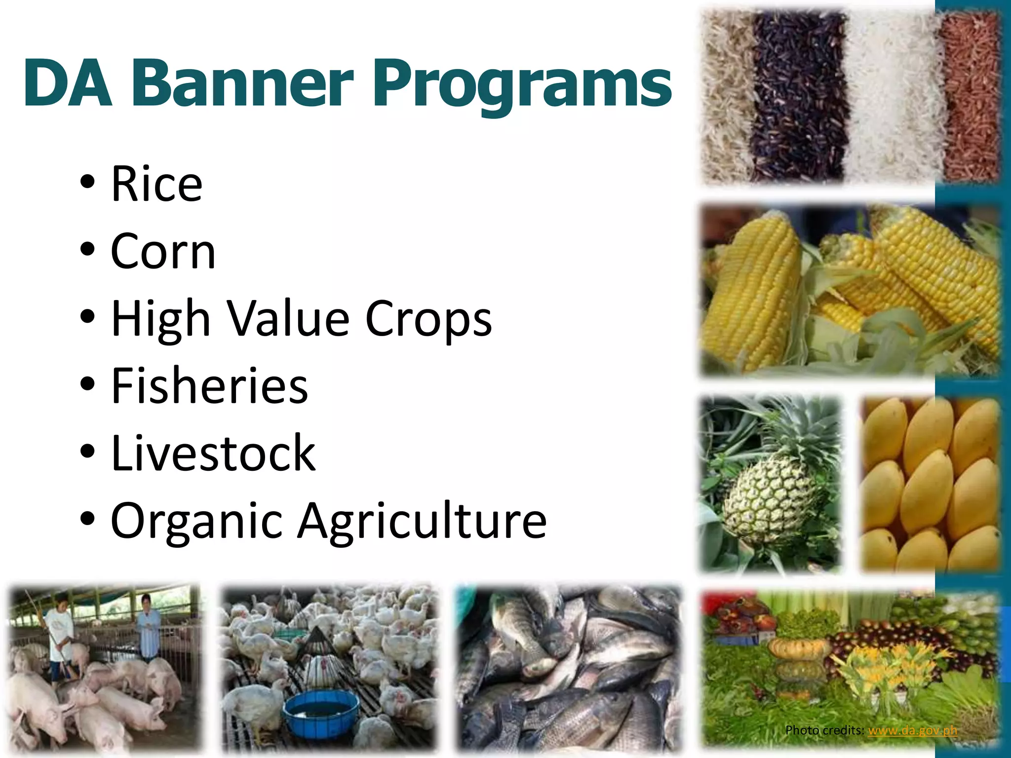 The State of Philippine Agriculture | PPTX