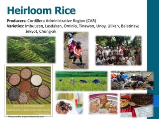 The State of Philippine Agriculture | PPTX