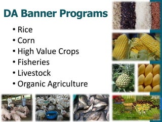 The State of Philippine Agriculture | PPTX