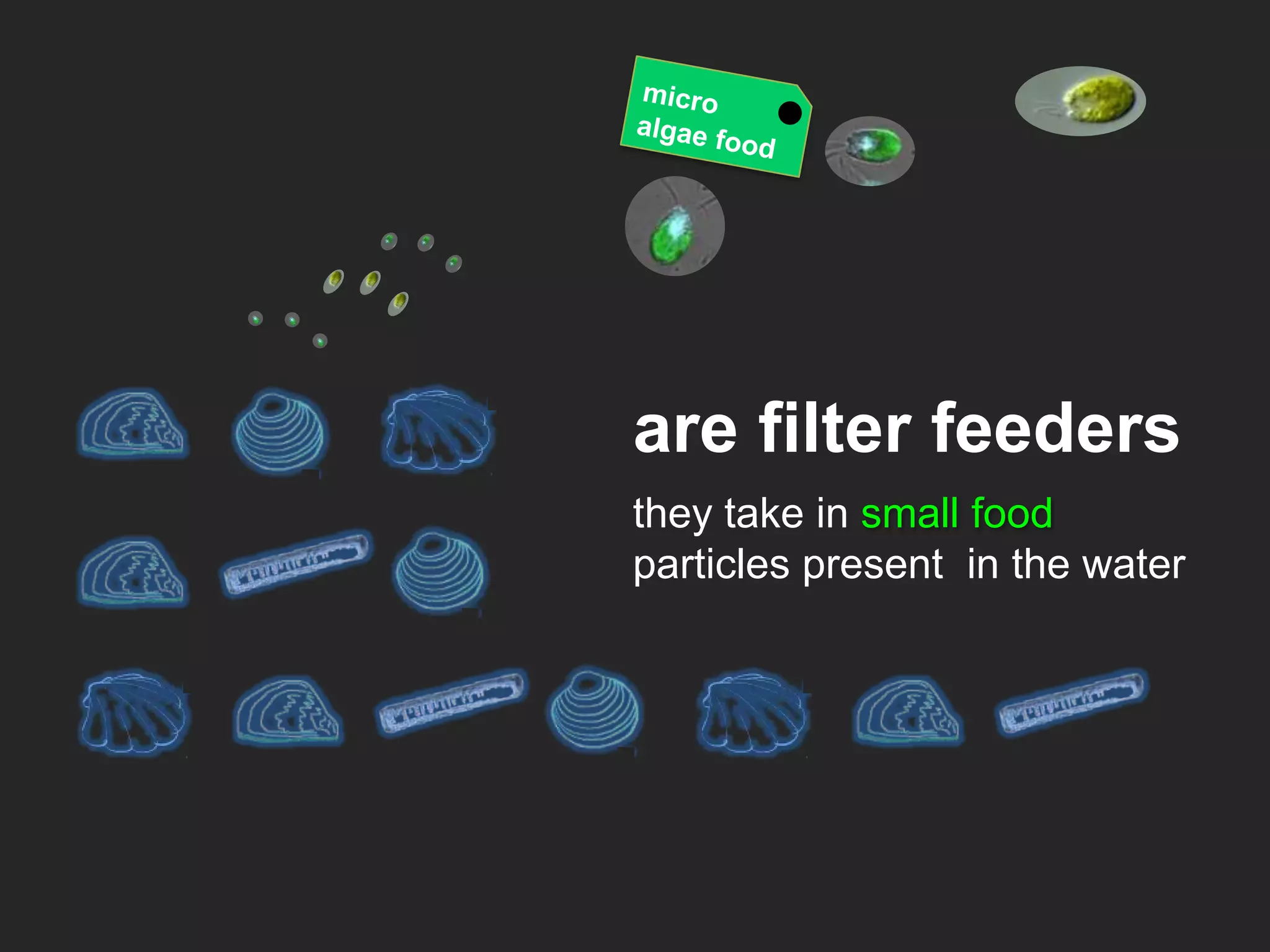 Depuration explained | PPTX