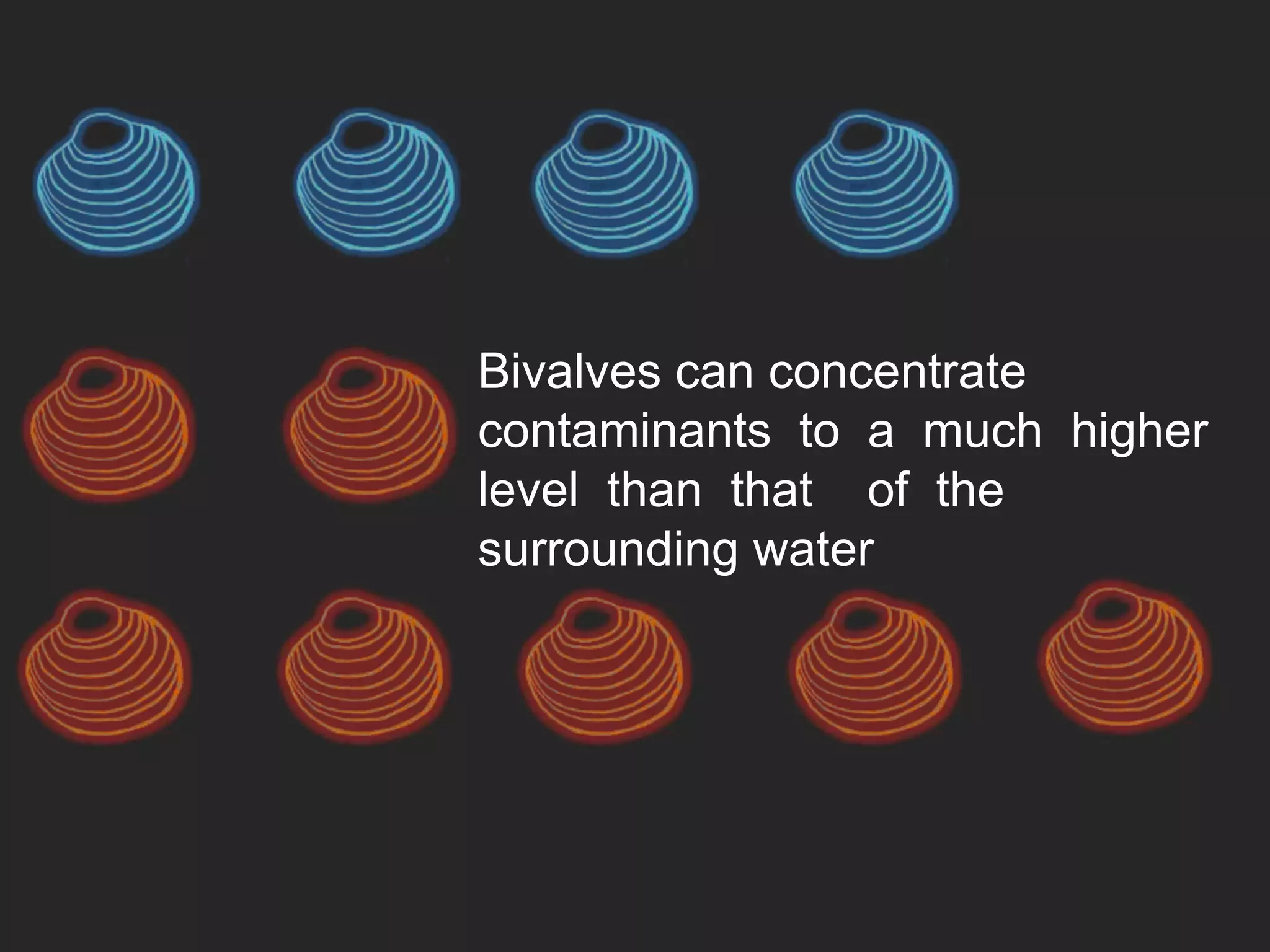 Depuration explained | PPTX