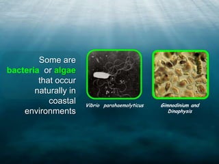 Depuration explained | PPTX