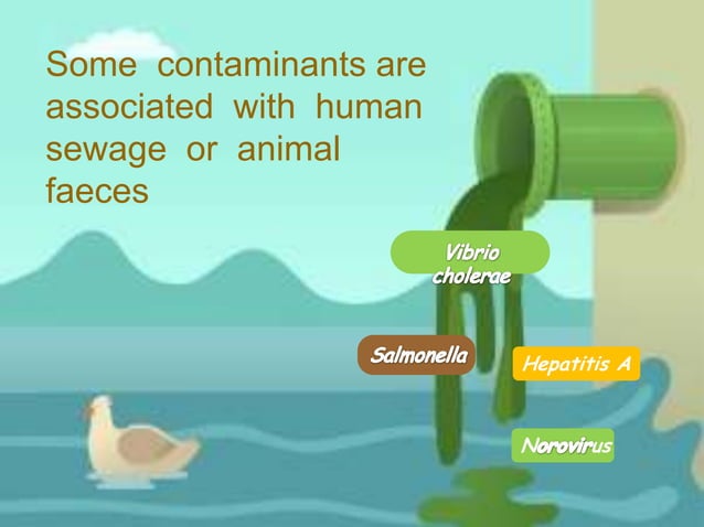 Depuration explained | PPT