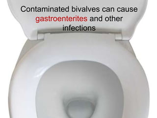 Depuration explained | PPTX