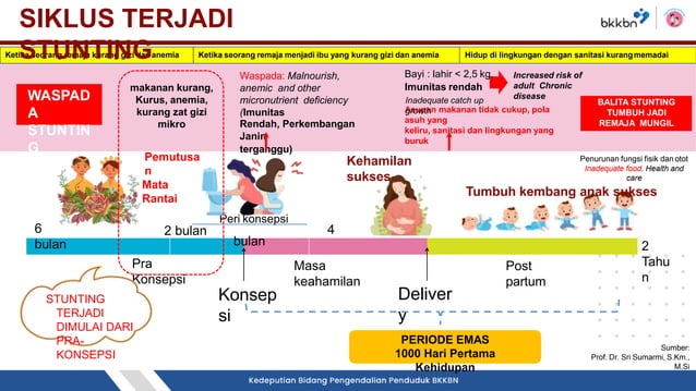 Deputi Dalduk BKKBN_Kebijakan Percepatan Penurunan Stunting (Program ...