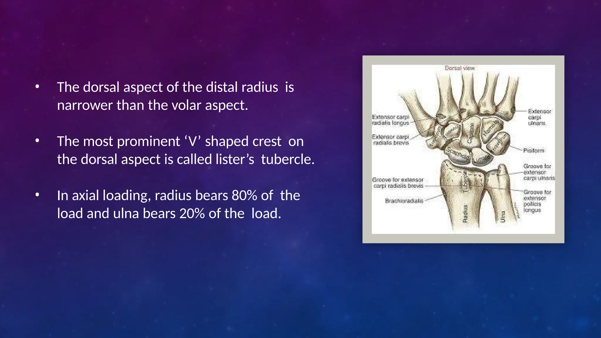 distal end radius fracture and its management | PPTX