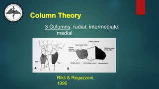 Distal radius fractures | PPTX
