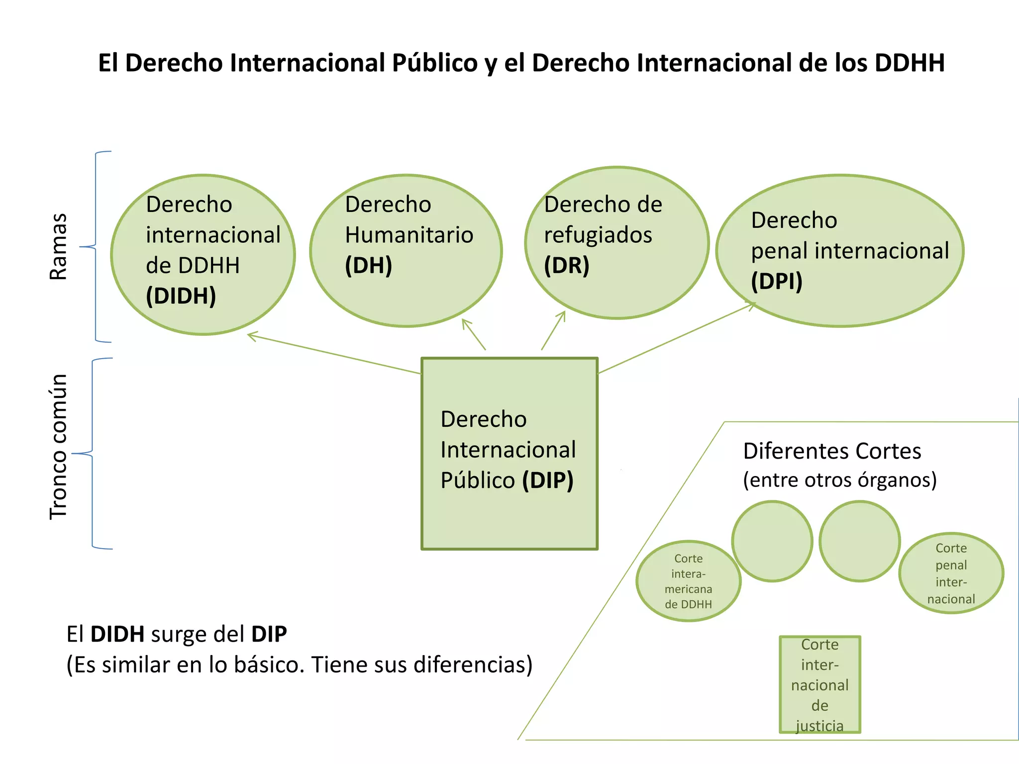 Derecho internacional de los ddhh y derecho interno | PPTX