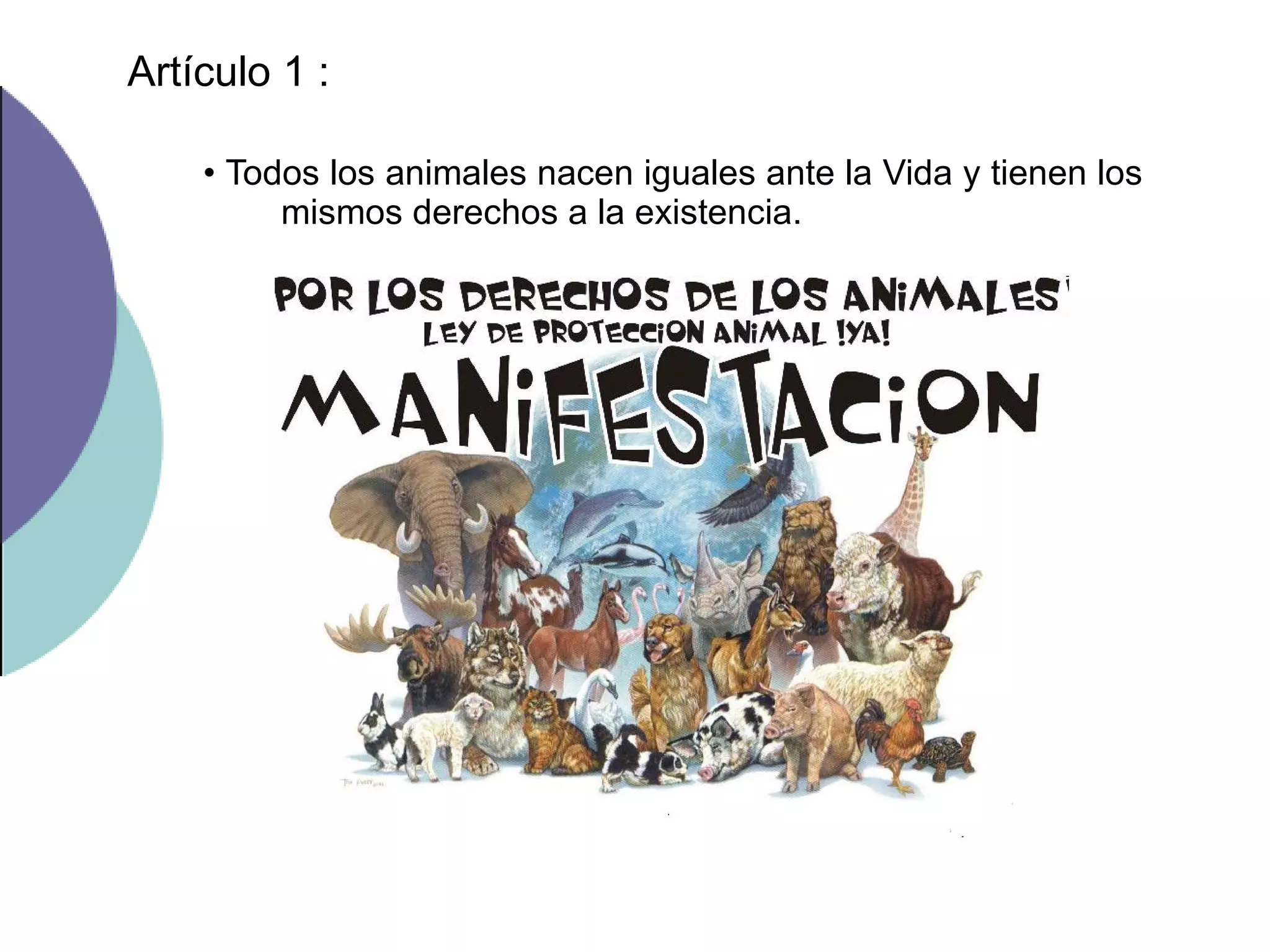 Derechos De Los Animales | PPT