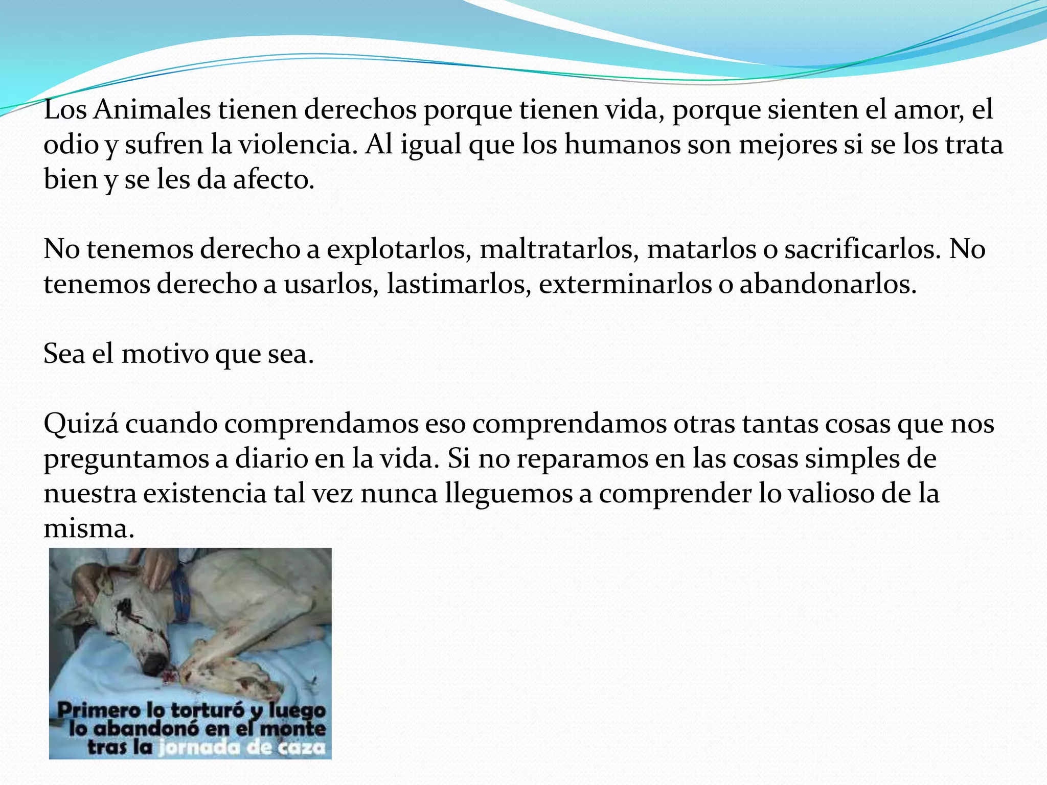 Derechos de los animales 22 | PPTX