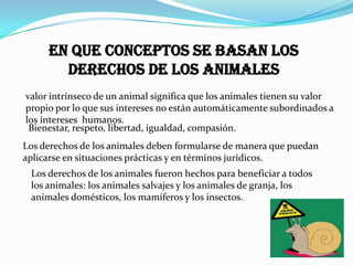 Derechos de los animales 22 | PPTX