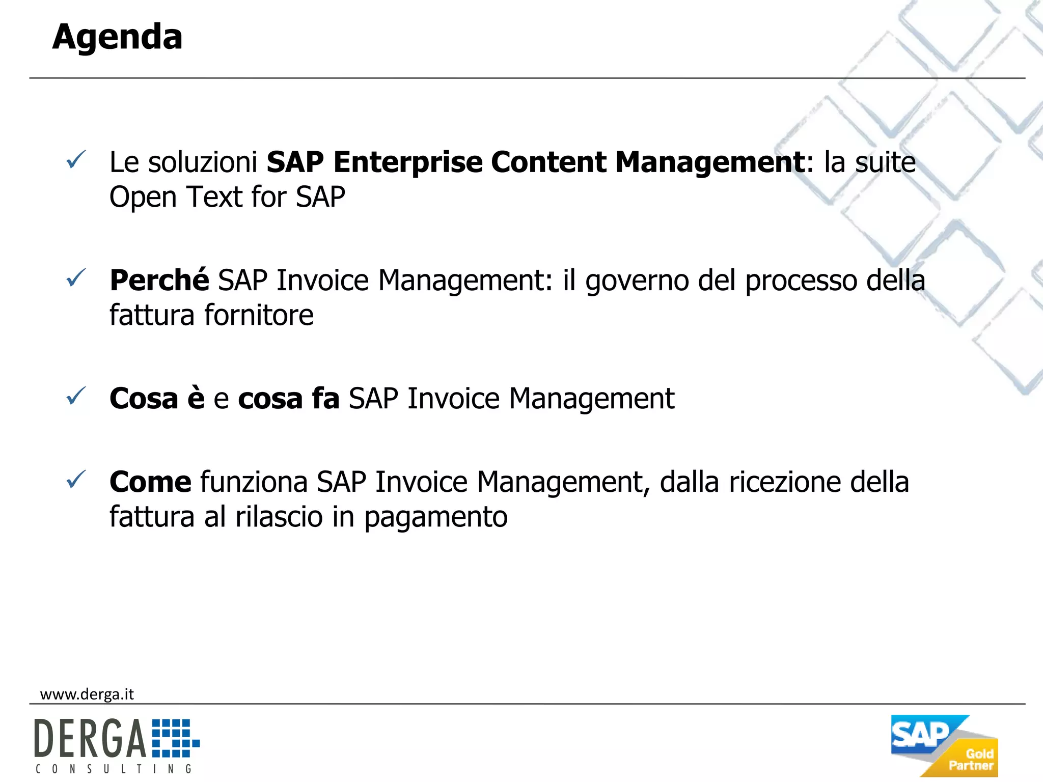 Derga sap invoice management | PDF | Computer Software and Applications | Computing