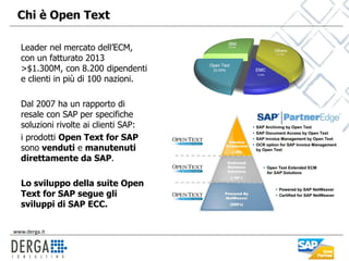 Derga sap invoice management | PDF | Computer Software and Applications | Computing