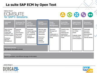 Derga sap invoice management | PDF | Computer Software and Applications | Computing