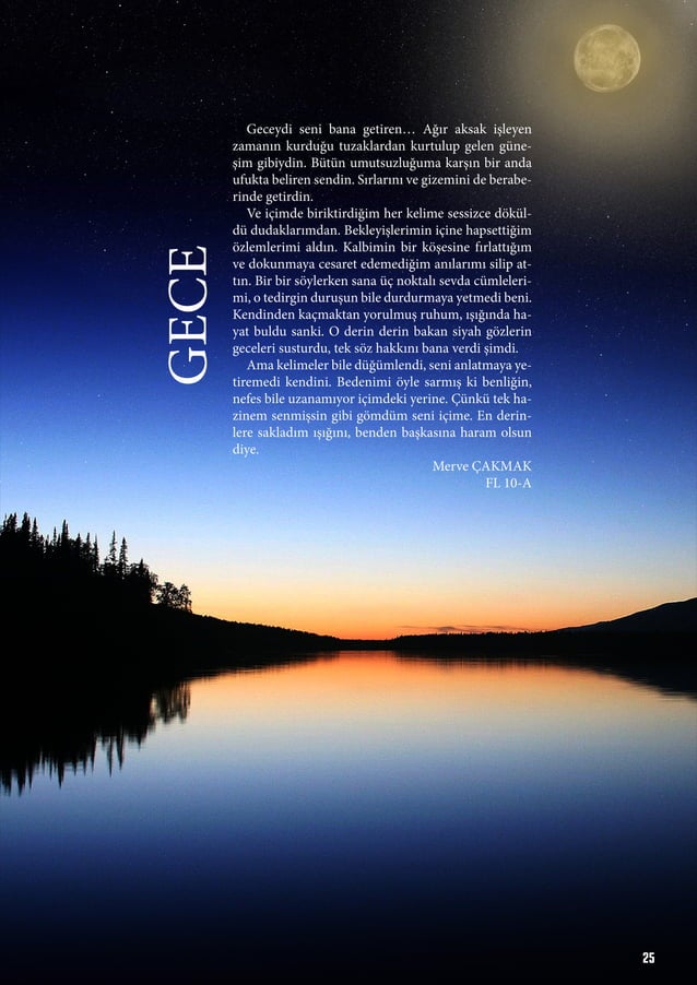 Dergi interaktif | PDF