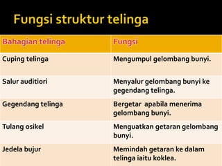 Deria pendengaran | PPTX