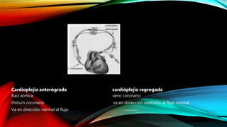 Derivacion cardiopulmonar | PPTX