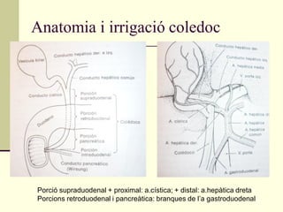 Derivacions bilio digestives (tècnica quirúrgica) | PDF