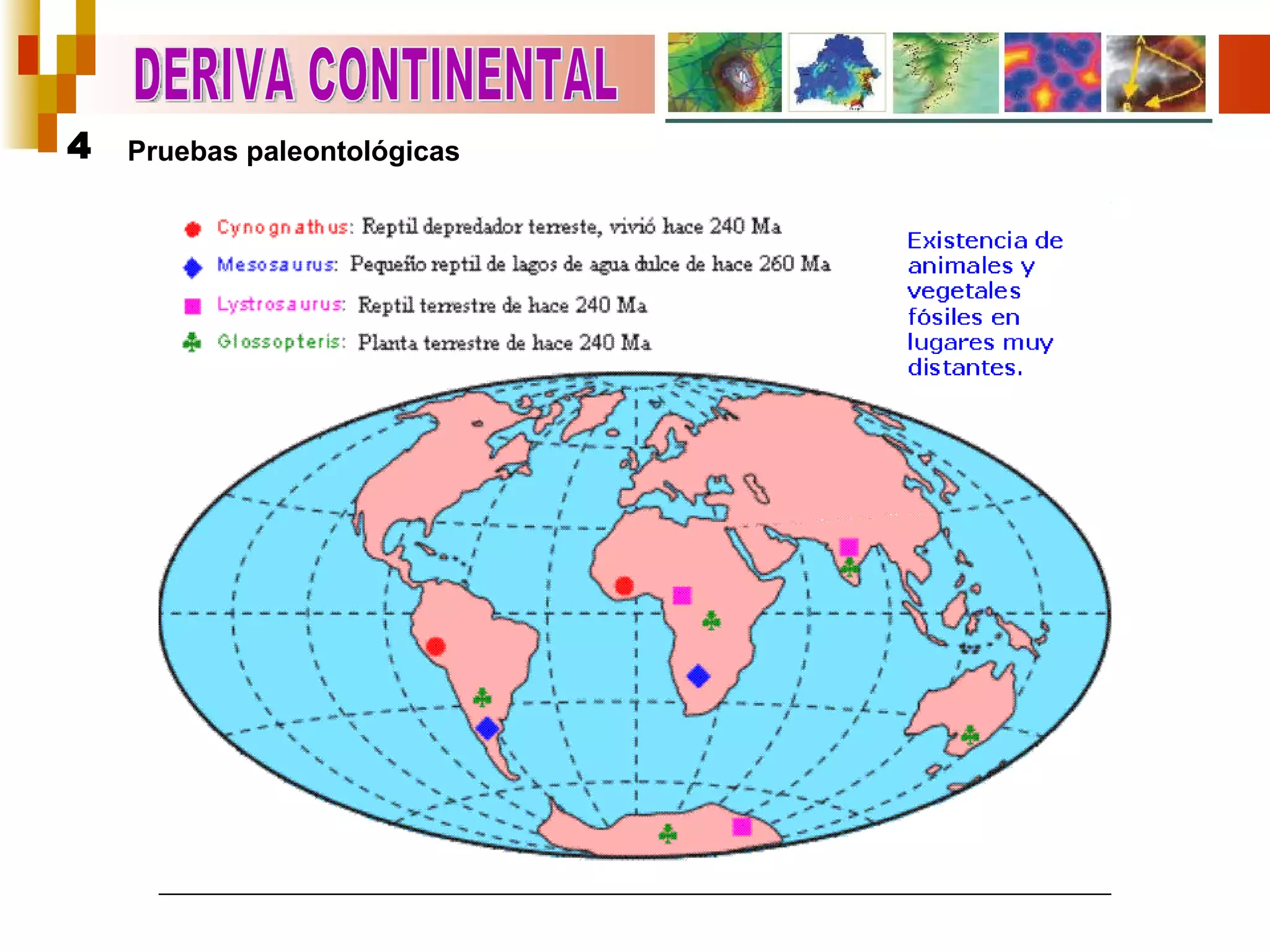 Deriva continental | PPT