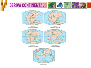 Deriva continental | PPT