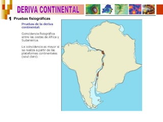 Deriva continental | PPT