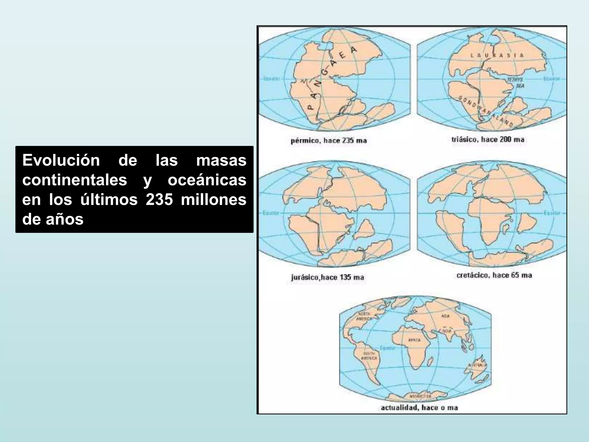 Deriva continental | PPT