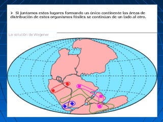 Deriva continental | PPT