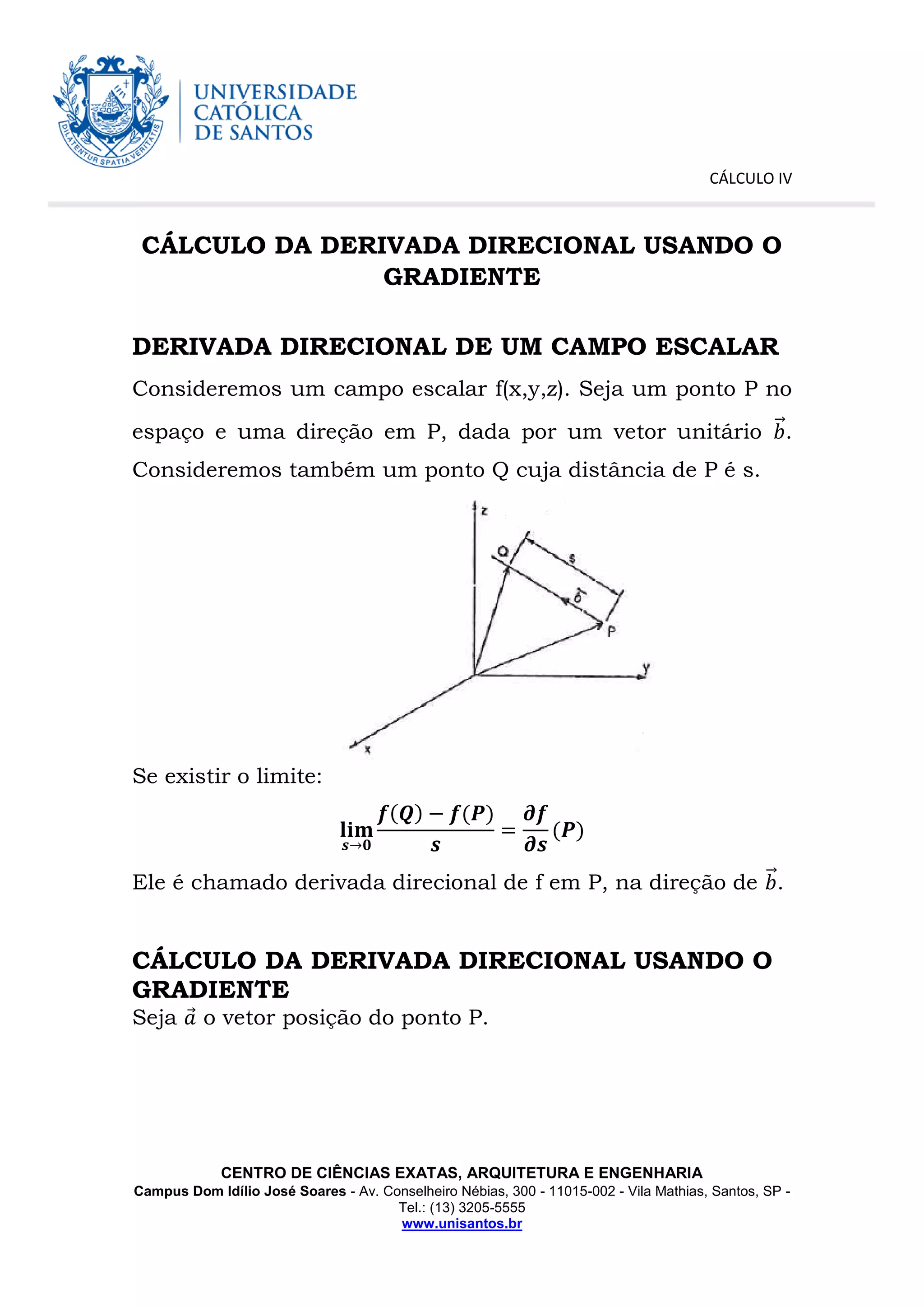 Derivada Direcional Usando Gradiente Pdf