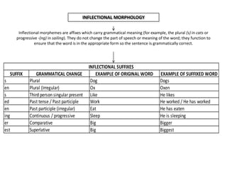 Derivational Morphology | PPSX