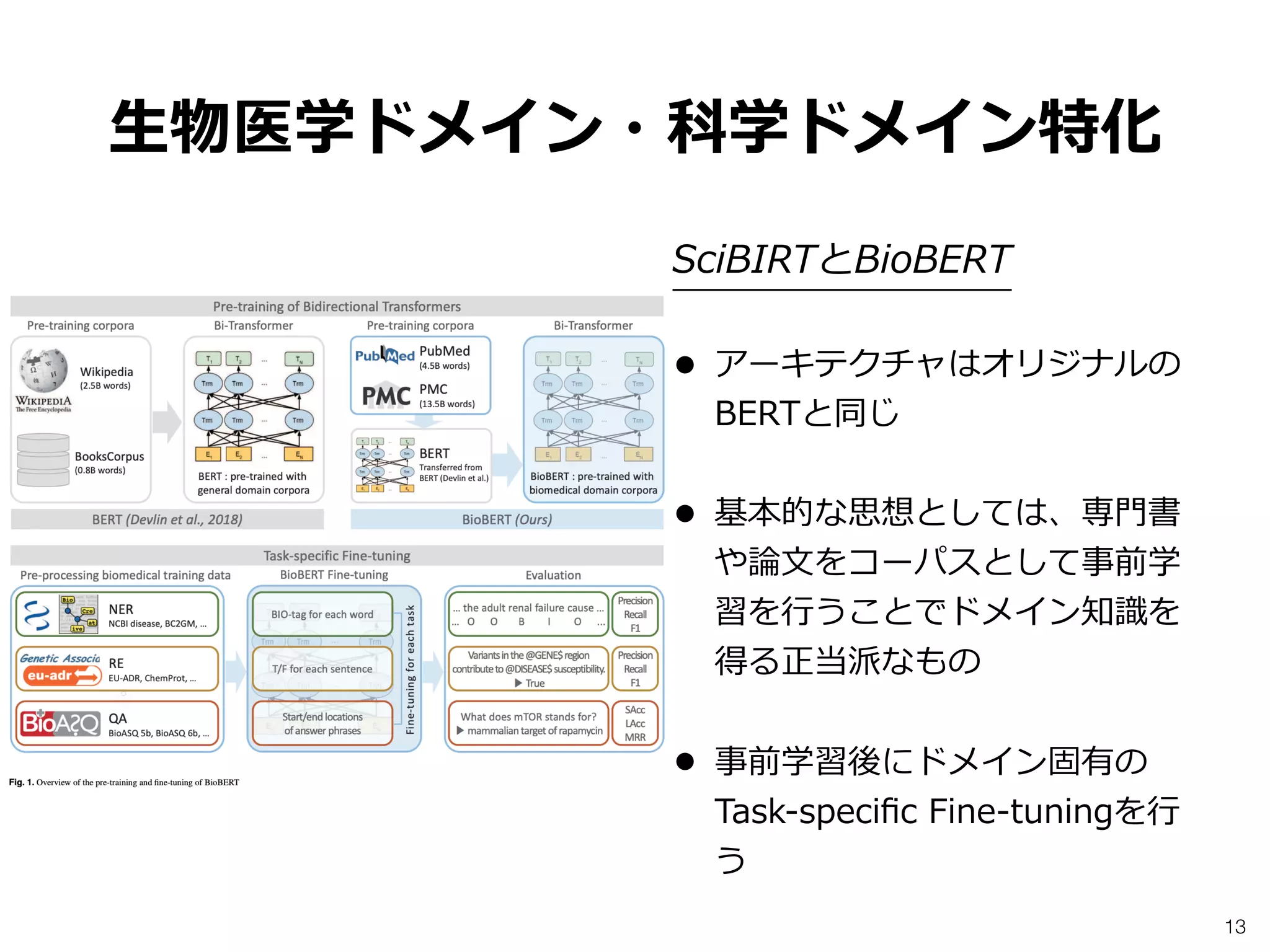 Derivative models from BERT | PDF