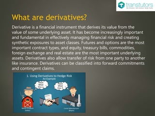 Derivatives and Hedging | Finance | PPTX