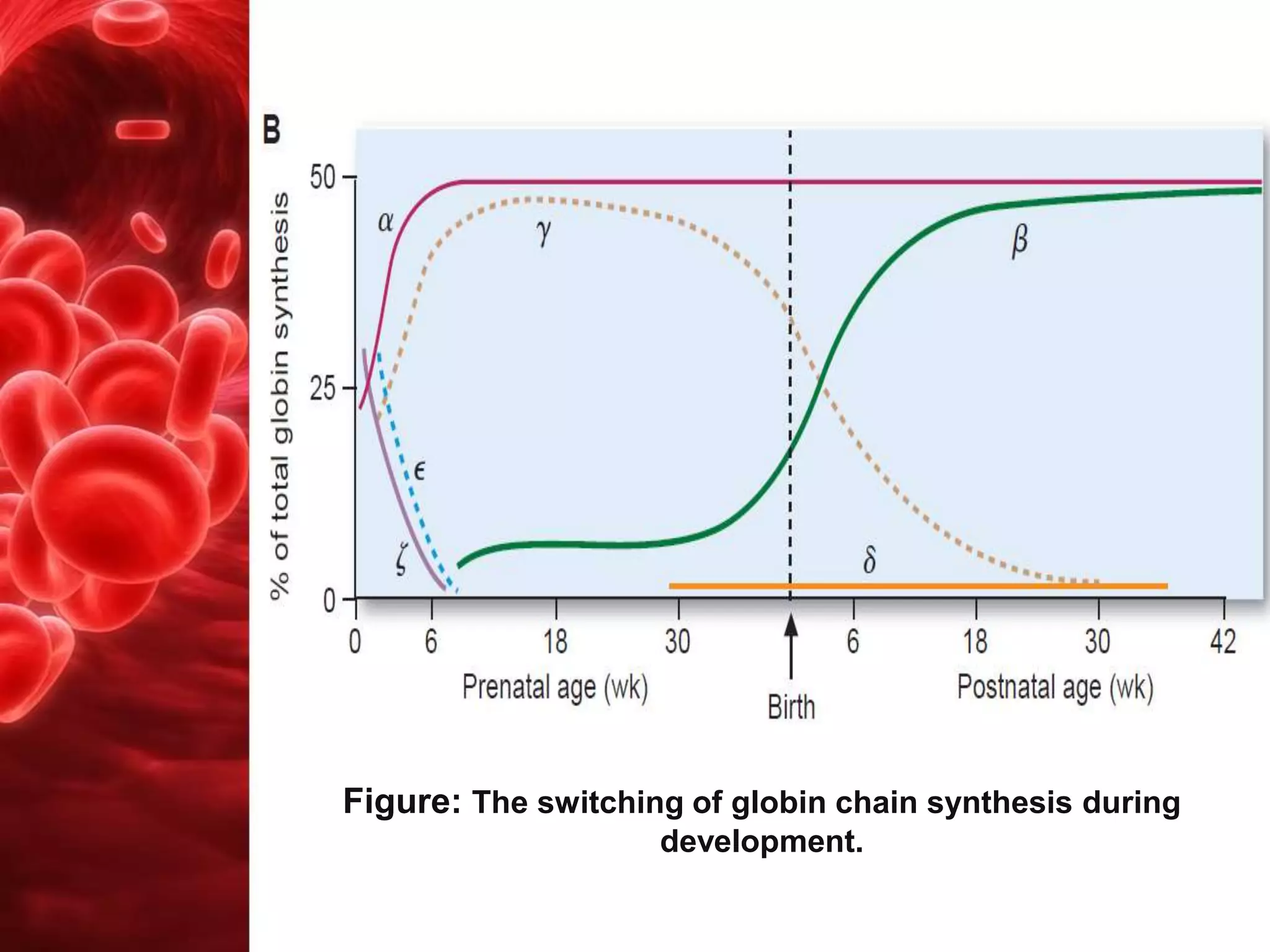 Major forms of hemoglobin and its derivatives/hemoglobinopathies | PPSX